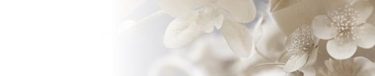 XGEVA® Side Effects & Contraindications | XGEVA® (denosumab)
